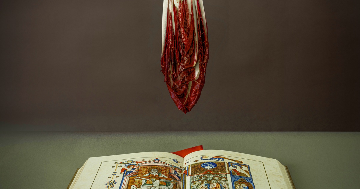 Jeff Robb, the exhibition enchants Treviso: a multi-sensory journey ...