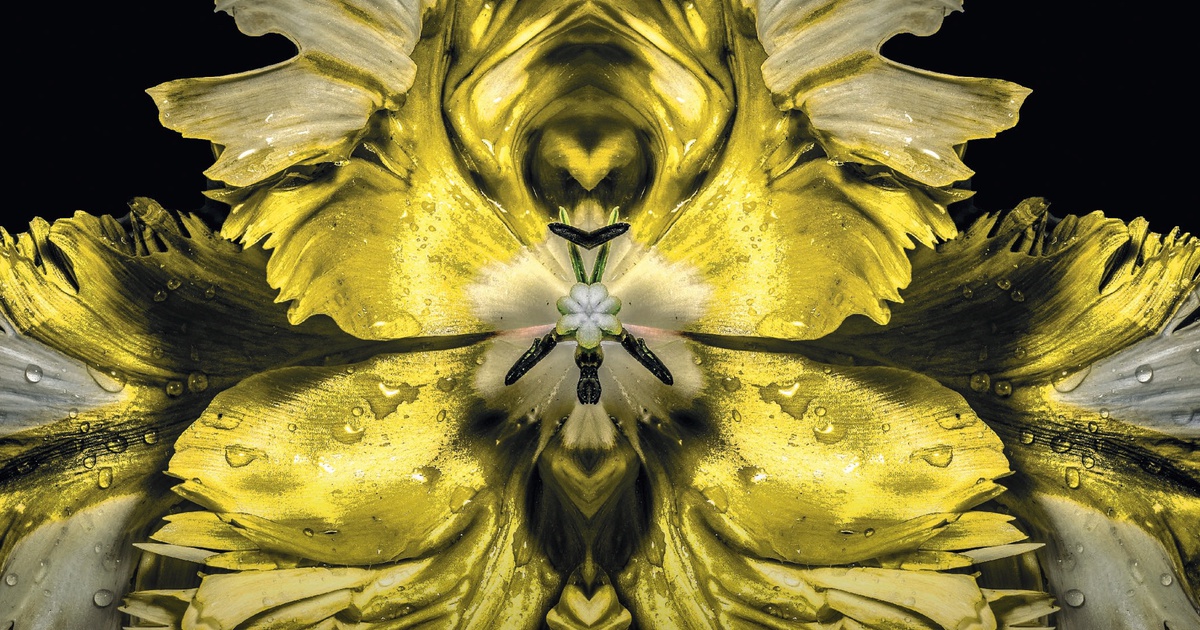 BEYOND NATURE - ROME | 14 June - 31 October 2023 | Cris Contini ...
